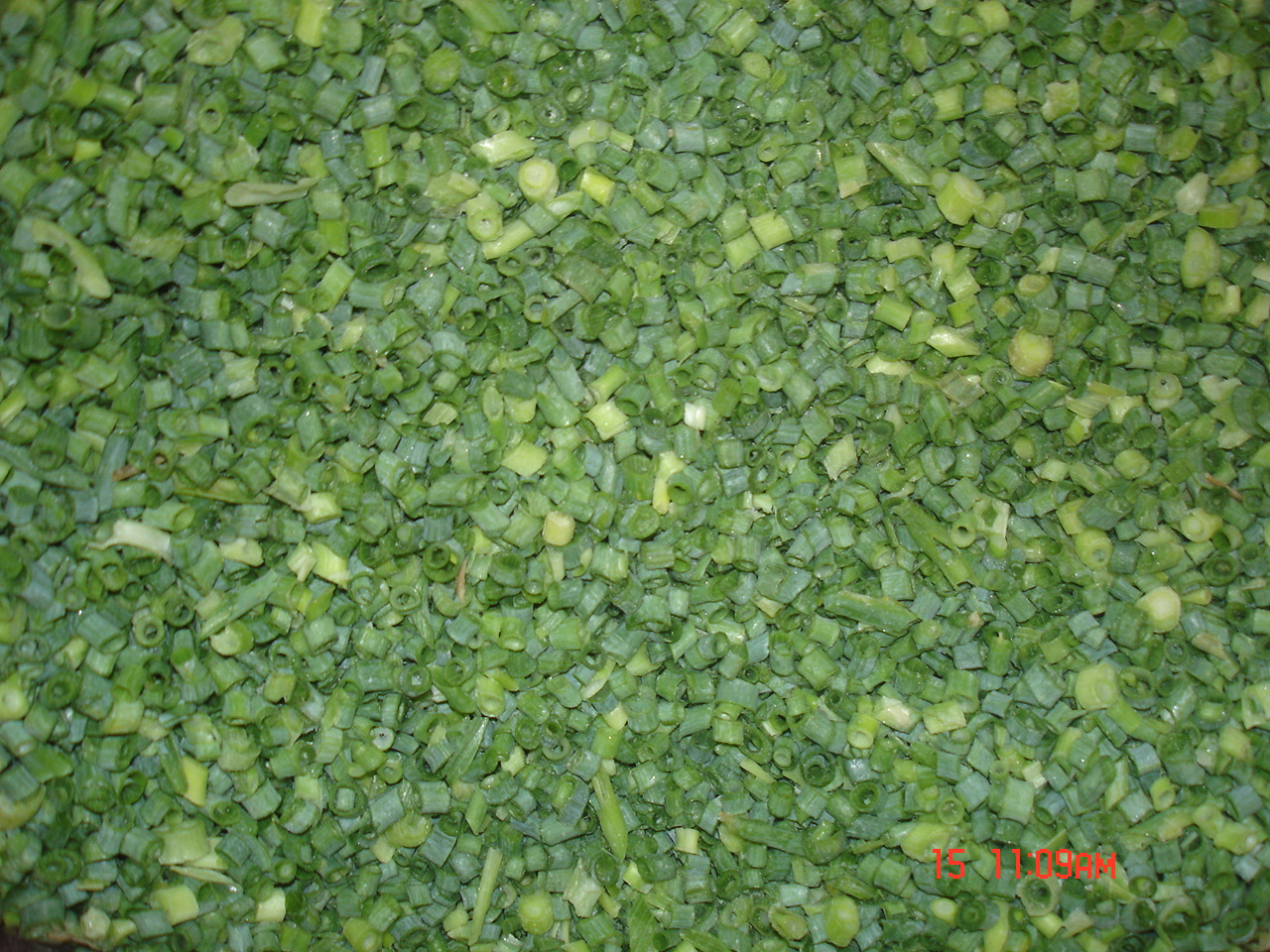 IQF Herbs – Oriental Resources